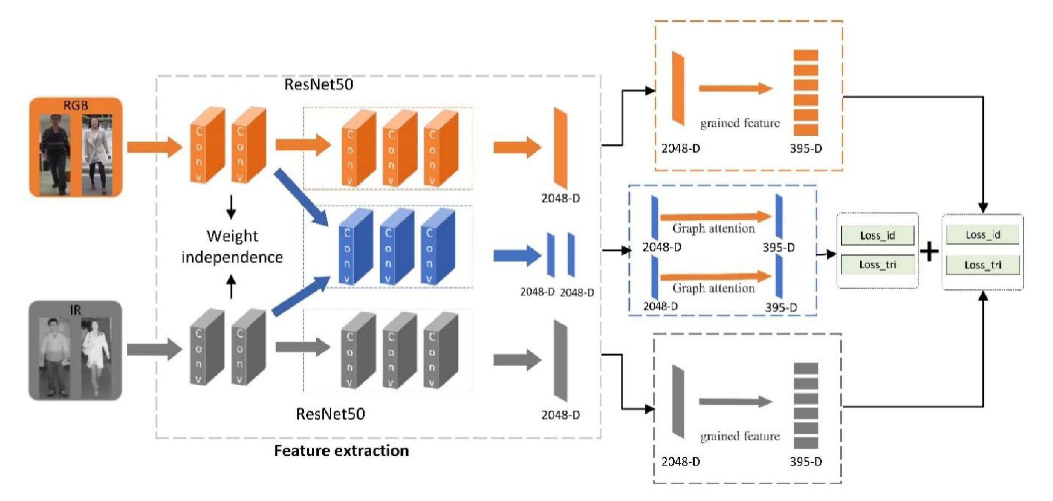 Cross-modal Person Re-identification Based on Hybrid Learning Networks