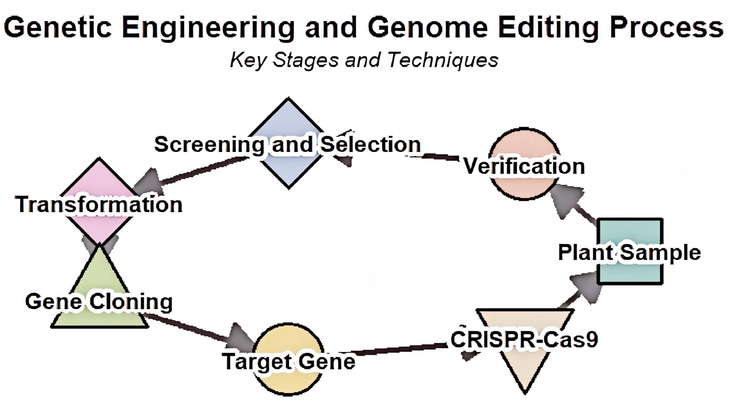 Unlocking Innovation in Crop Resilience and Productivity: Breakthroughs ...