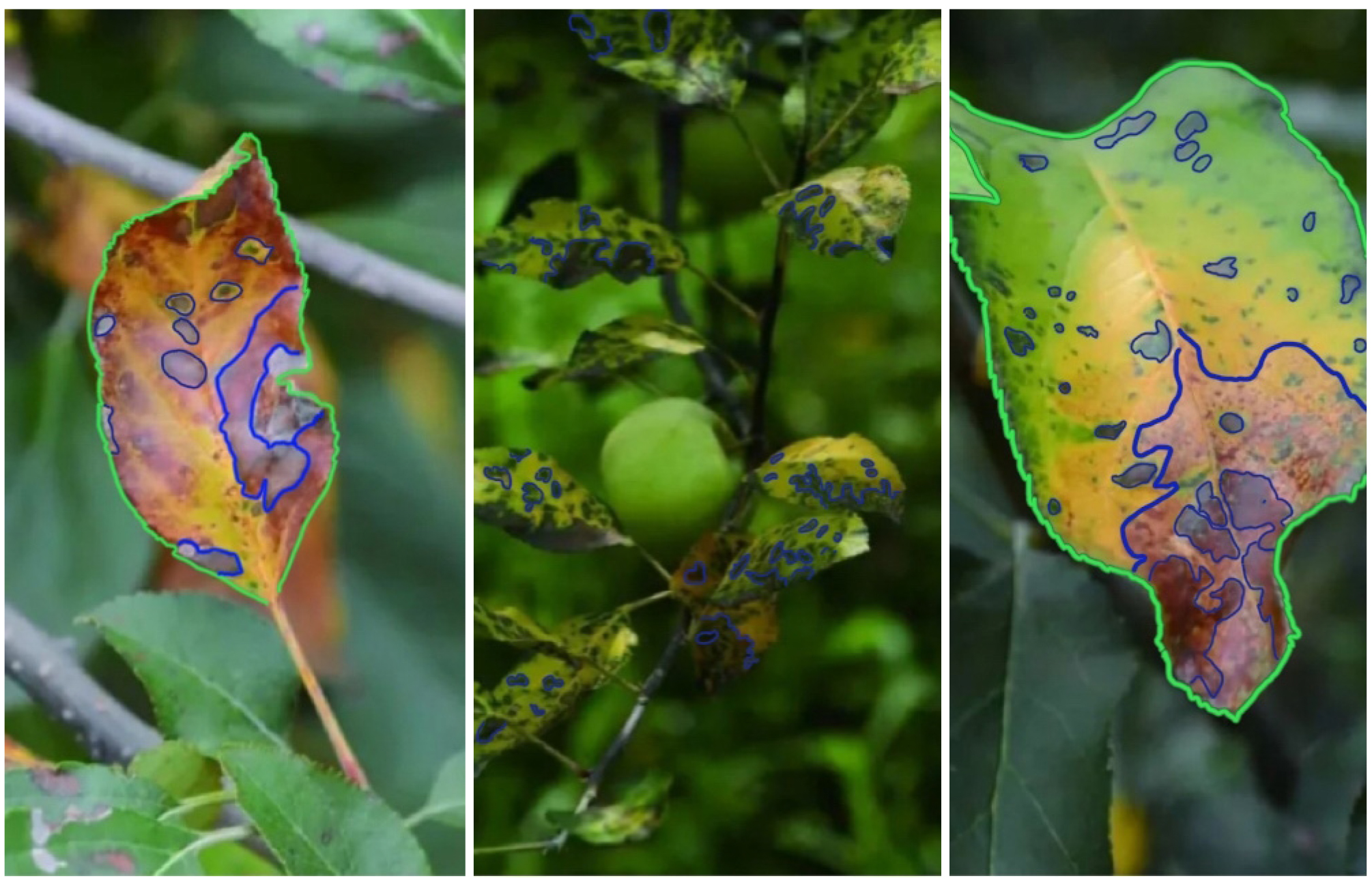 A System for Identifying Deficiency Elements in Apple Leaf Disease ...