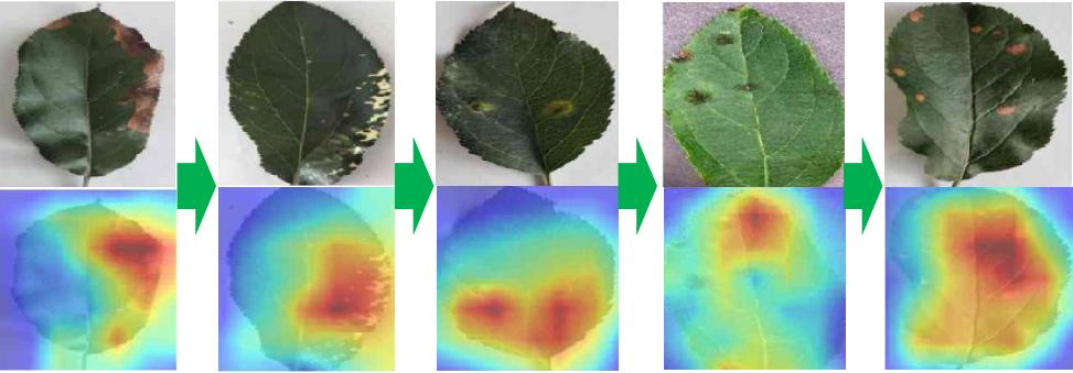 A System for Identifying Deficiency Elements in Apple Leaf Disease ...