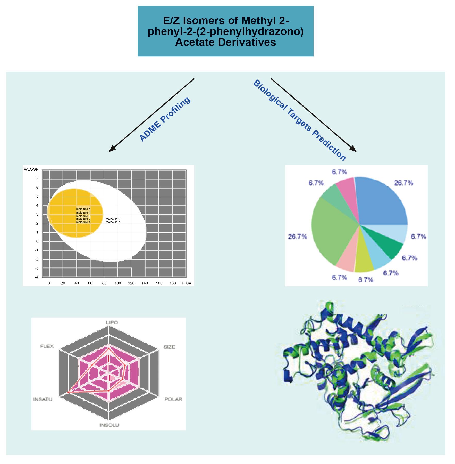 Biological New Targets Prediction & ADME Pharmacokinetics Profiling of ...