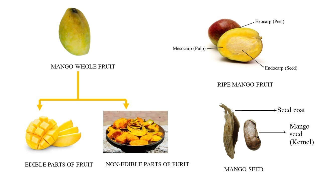 Food Waste to Food Revolution: The Role of Omics Studies in Exploring ...