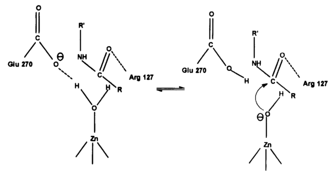Evaluation and Comparison of the Feasibility of Enzymatic Hydrolysis of ...