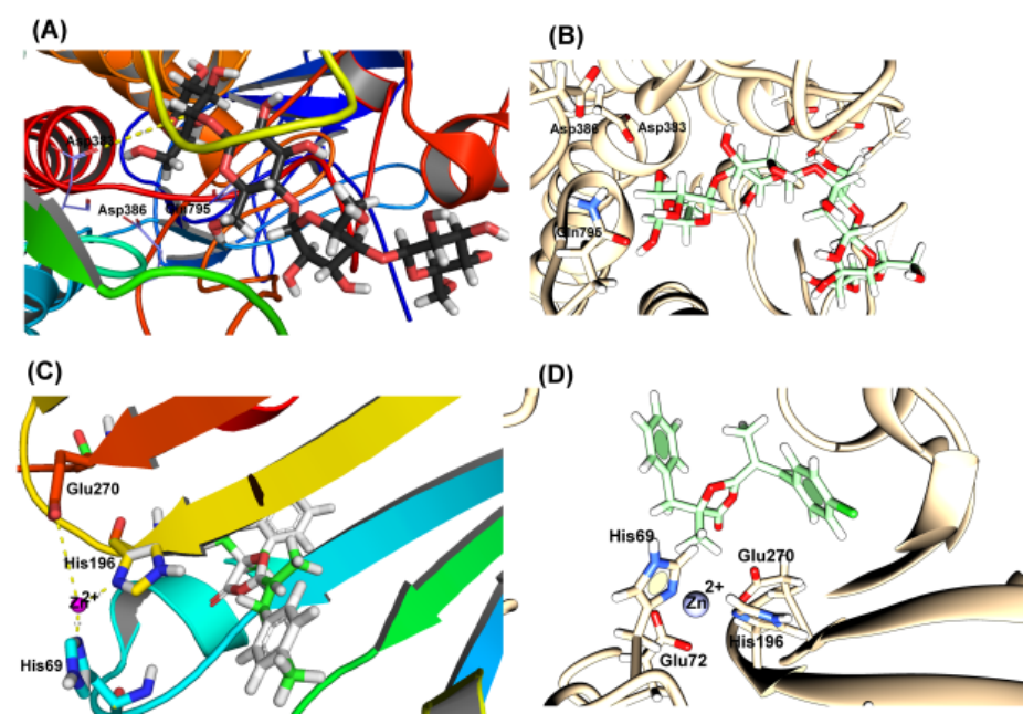 Evaluation and Comparison of the Feasibility of Enzymatic Hydrolysis of ...